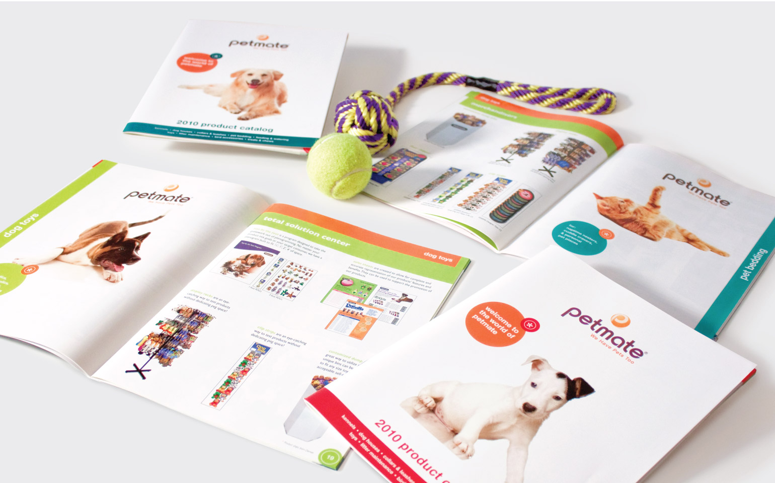 Petwho? | A Comprehensive Brand Innovation Program