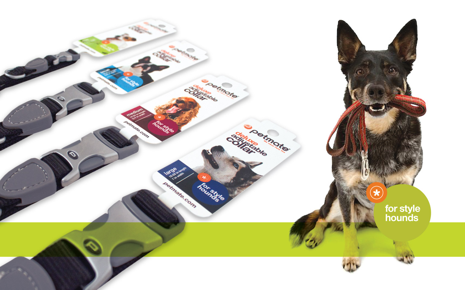 Petwho? | A Comprehensive Brand Innovation Program